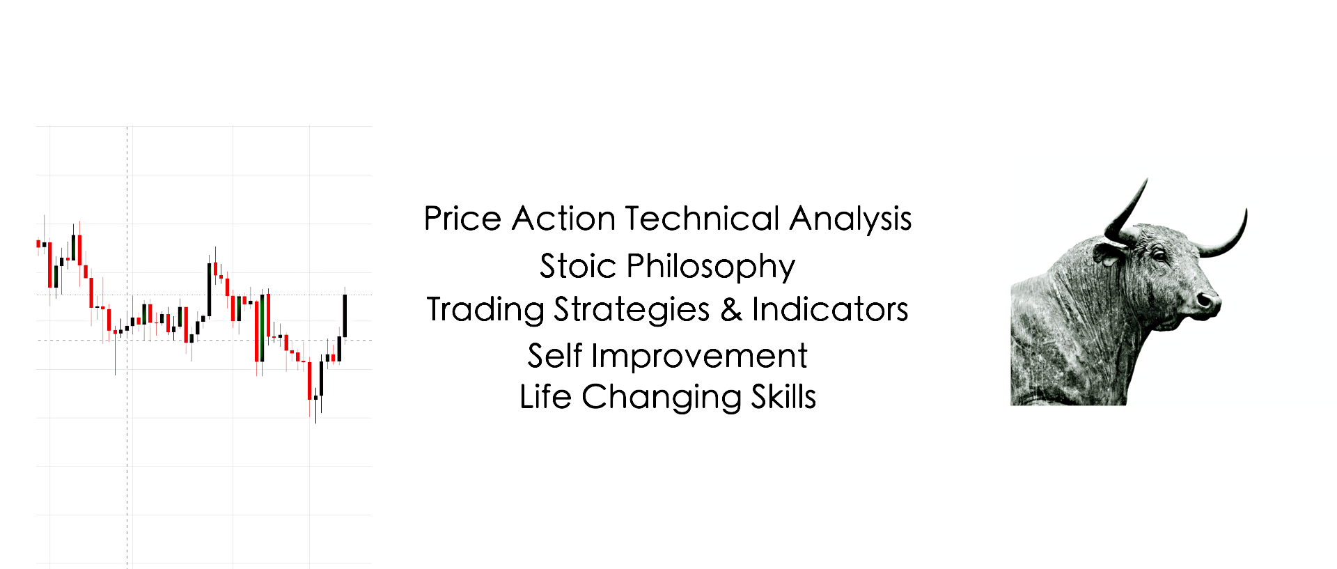 Stoic Bull Trading – Learn To Trade Calmly & Methodically